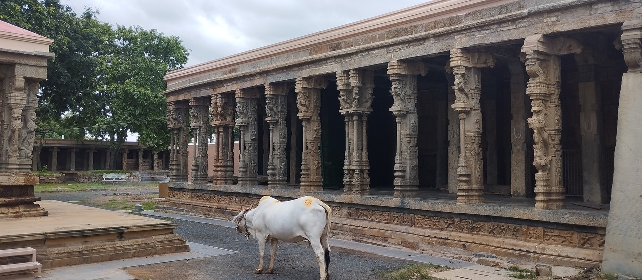 Ahobilam Temple Images | Gallery - Ahobilam Tours